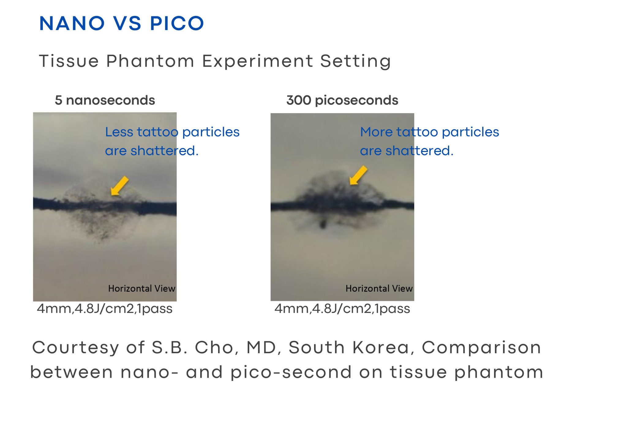 PICO LEGEND – SINERGI