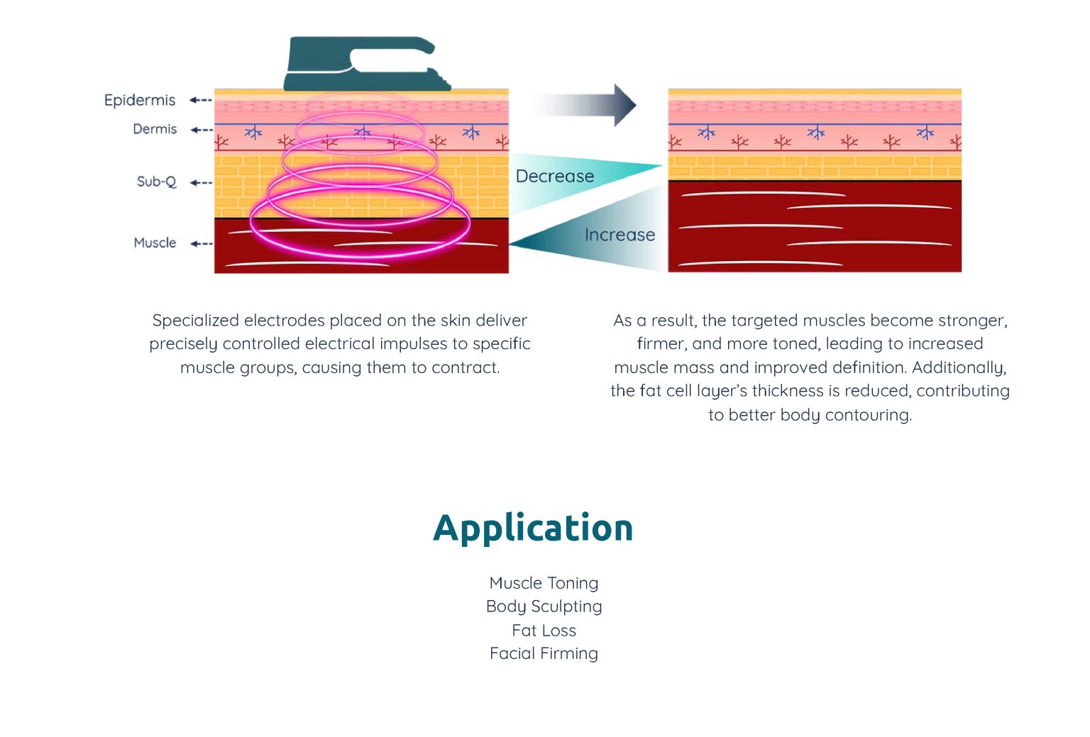 ZELTRA PLUS – SINERGI